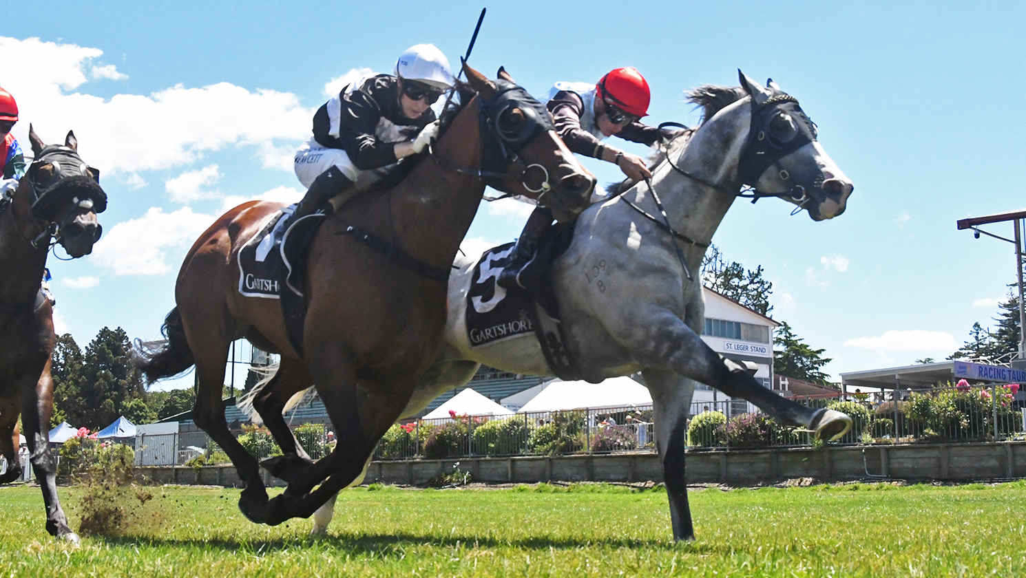Tauranga consolation prize for Lingjun Xiongfeng
